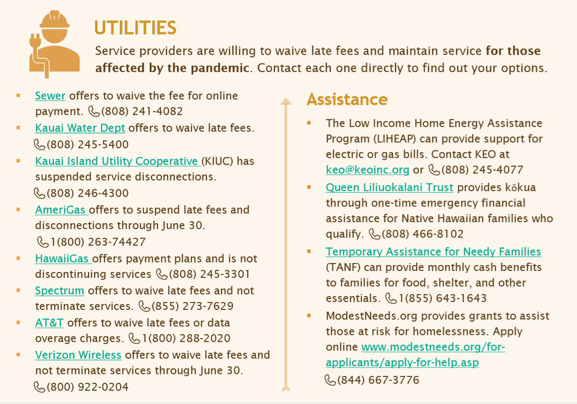 Energy Saving Initiatives and Utility Support - KauaiForward.com